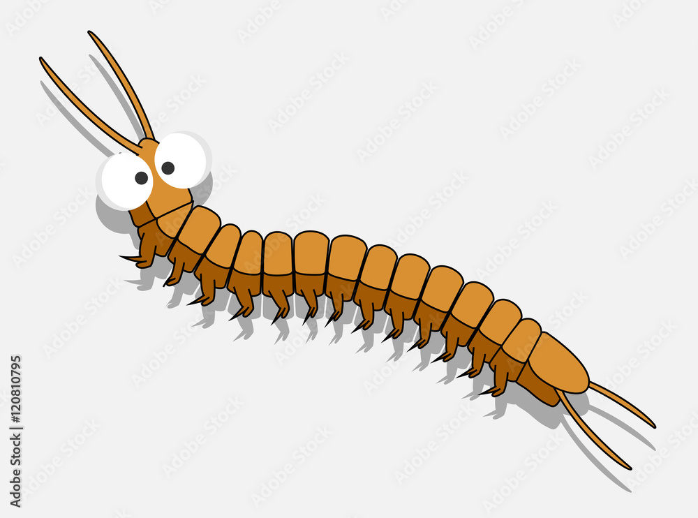 Cartoon Centipede Worm Stock Vector | Adobe Stock