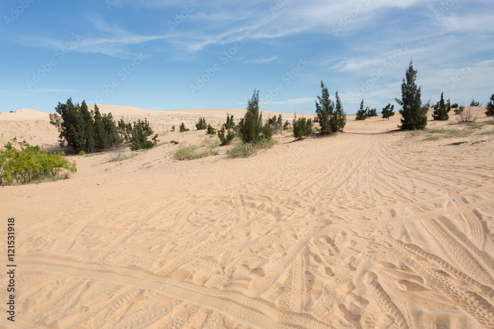 white sand dune desert in Mui Ne, Vietnam Stock Photo | Adobe Stock