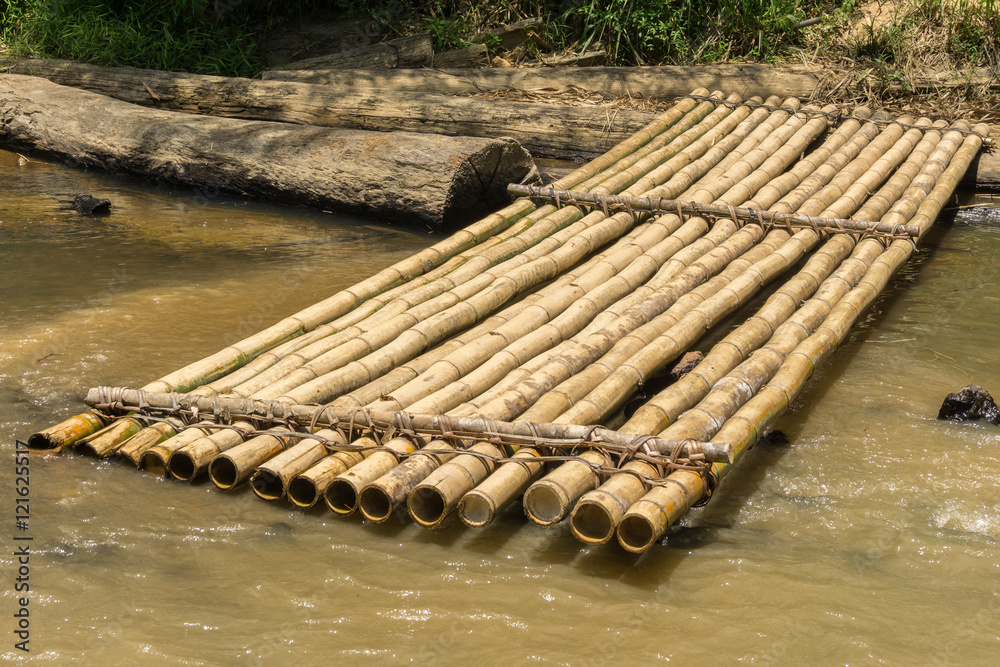 Bamboo raft and worn timber log on a river bank at Kota Marudu, Sabah ...
