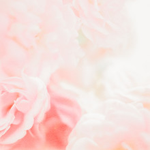 Pink Roses Paper Background Free Stock Photo - Public Domain Pictures