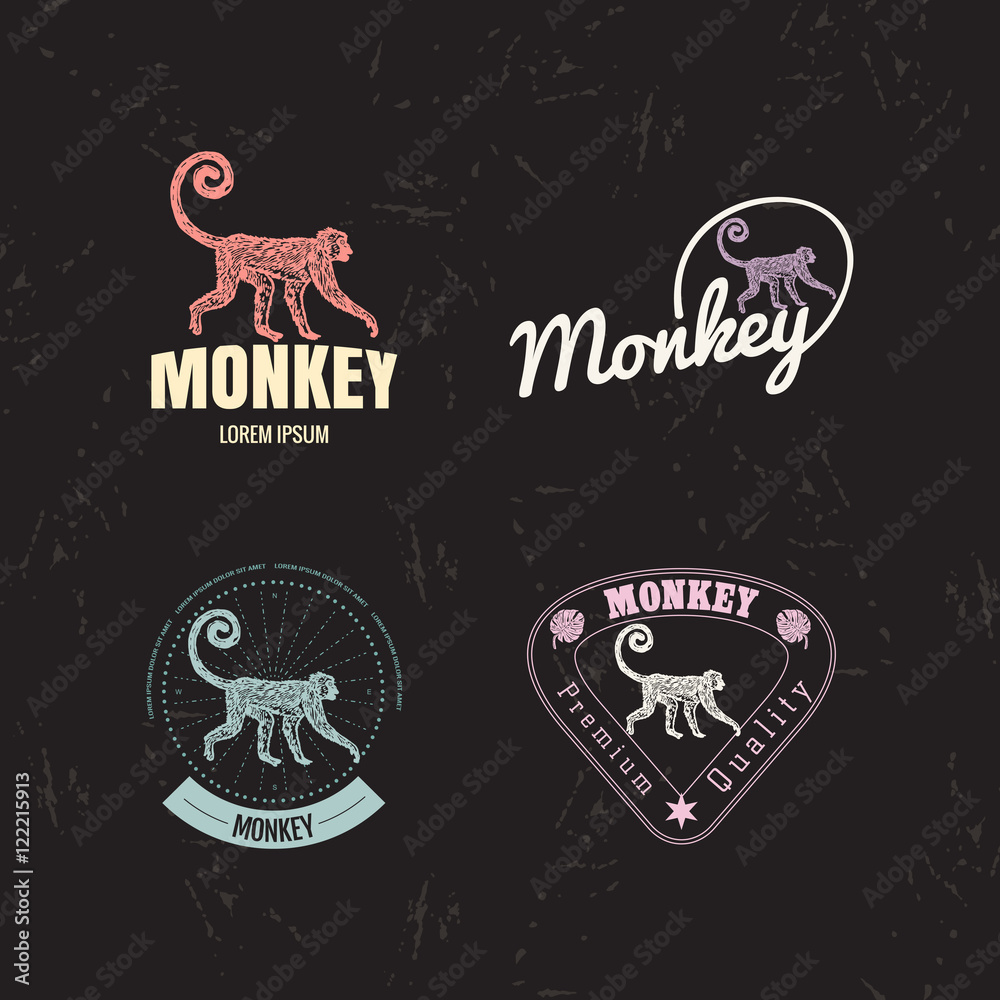 Vector logo set with Jungle Monkey Stock Vector | Adobe Stock
