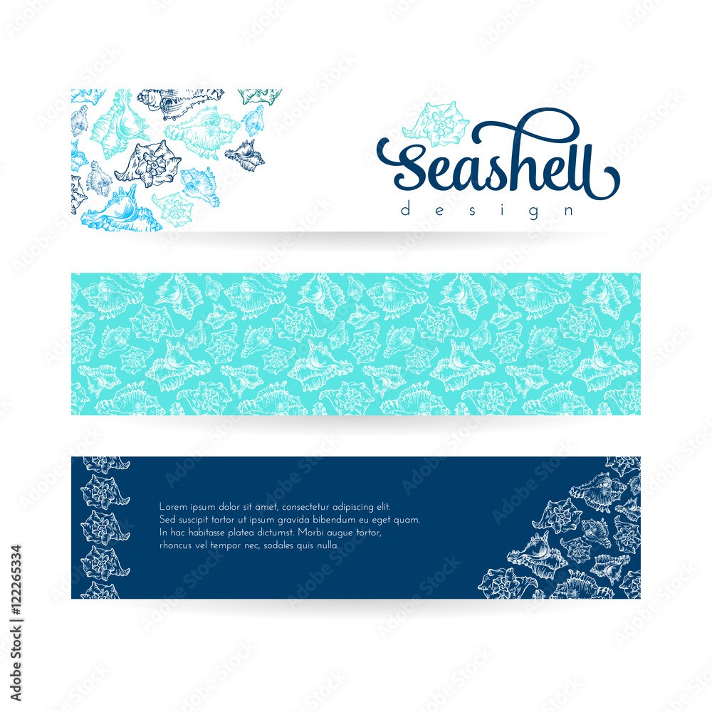 Sketch seashell card template background. Vector illustration for your ...