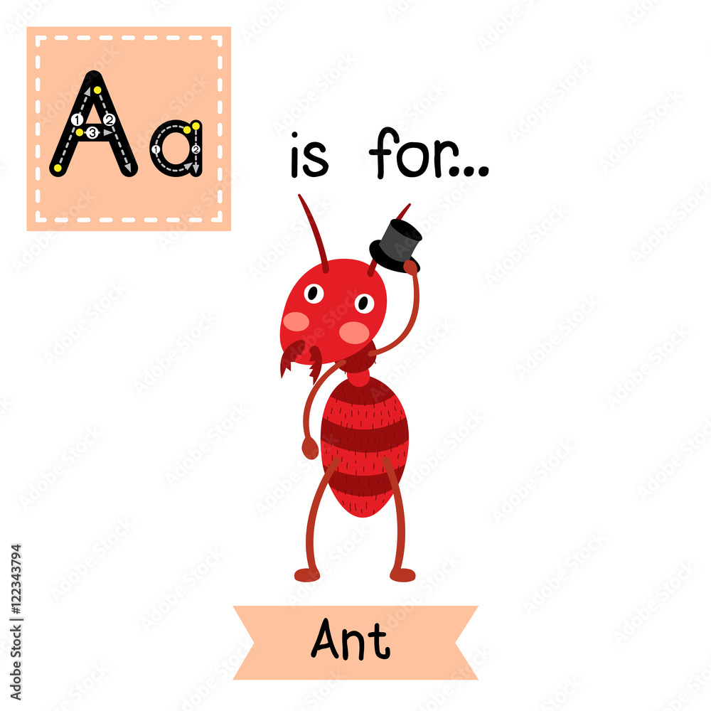 A letter tracing. Fire ant. Cute children zoo alphabet flash card ...