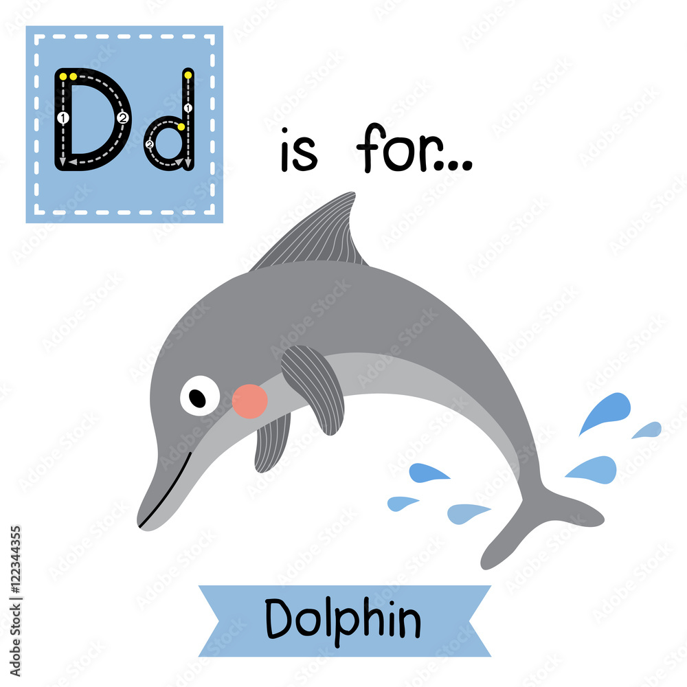 D letter tracing. Dolphin. Cute children zoo alphabet flash card. Funny ...