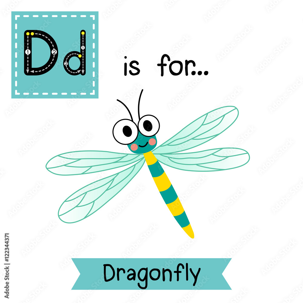 D letter tracing. Dragonfly insect. Cute children zoo alphabet flash ...