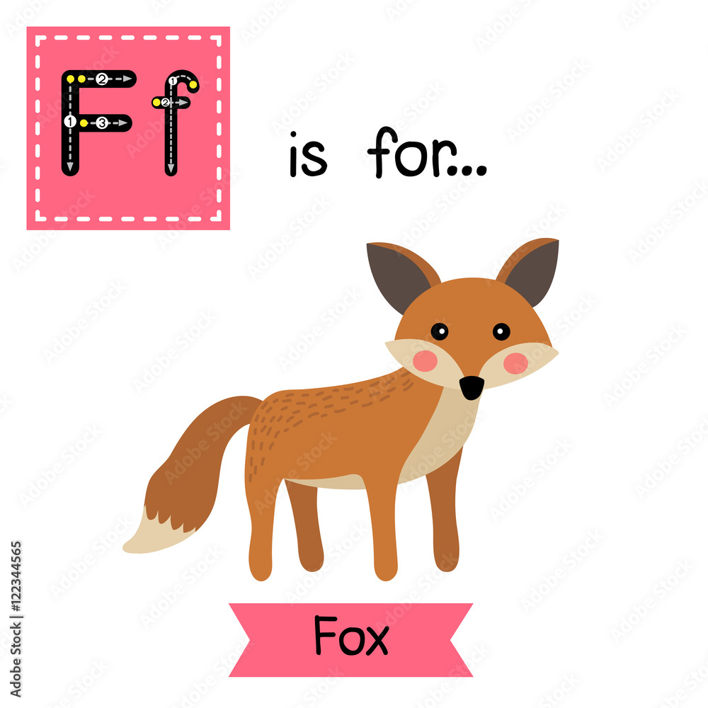 F letter tracing. Standing Fox. Cute children zoo alphabet flash card ...
