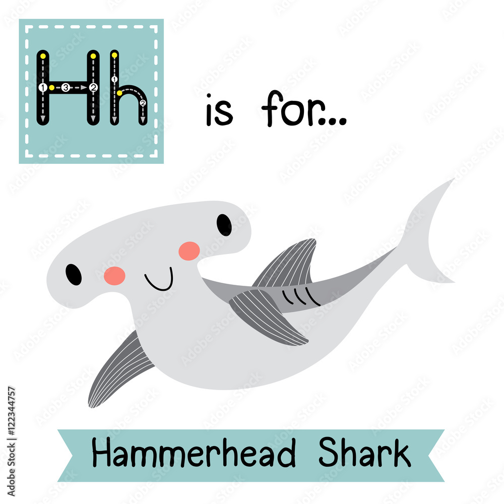 H letter tracing. Hammerhead Shark. Cute children zoo alphabet flash ...