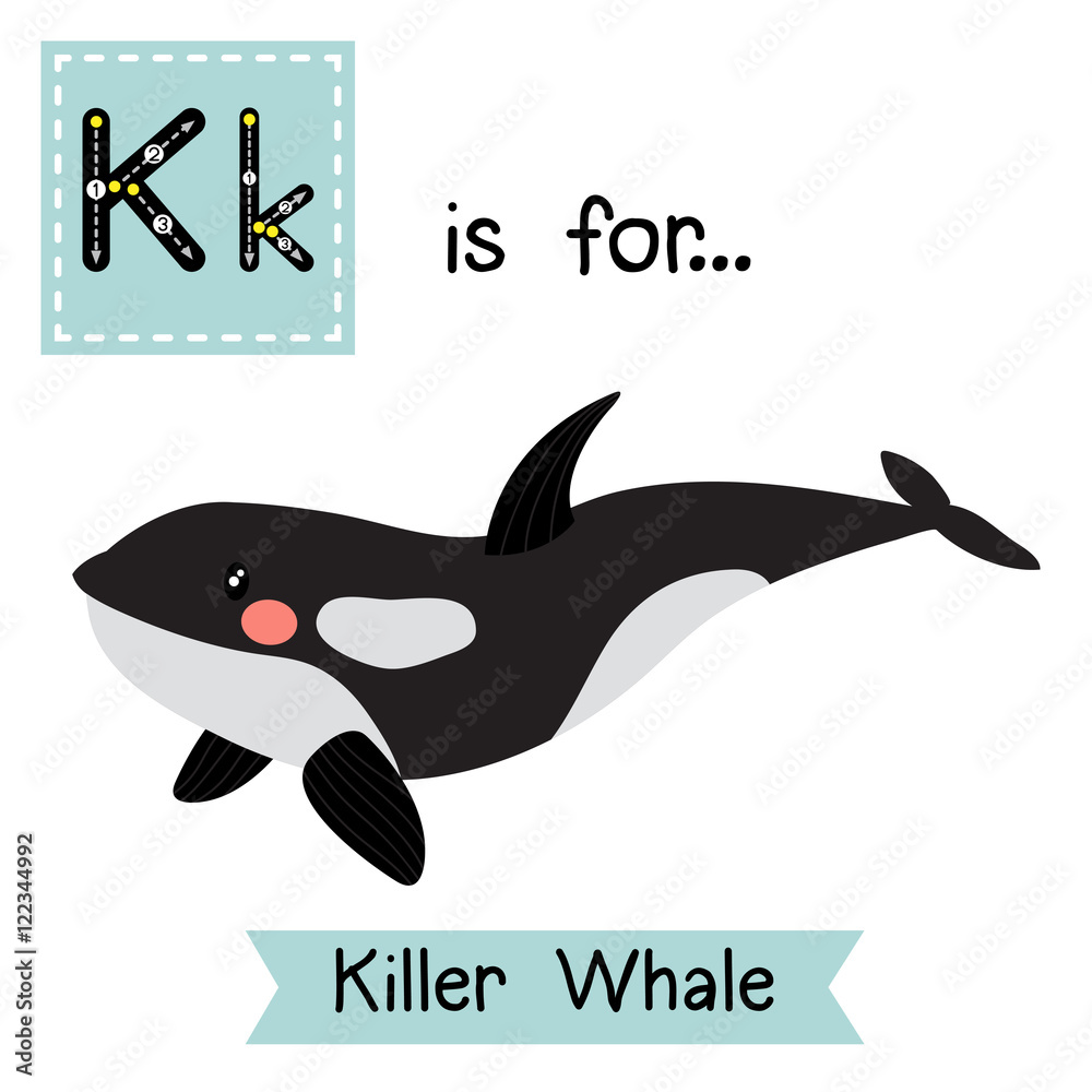 Image vectorielle Stock K letter tracing. Killer whale orca. Cute ...
