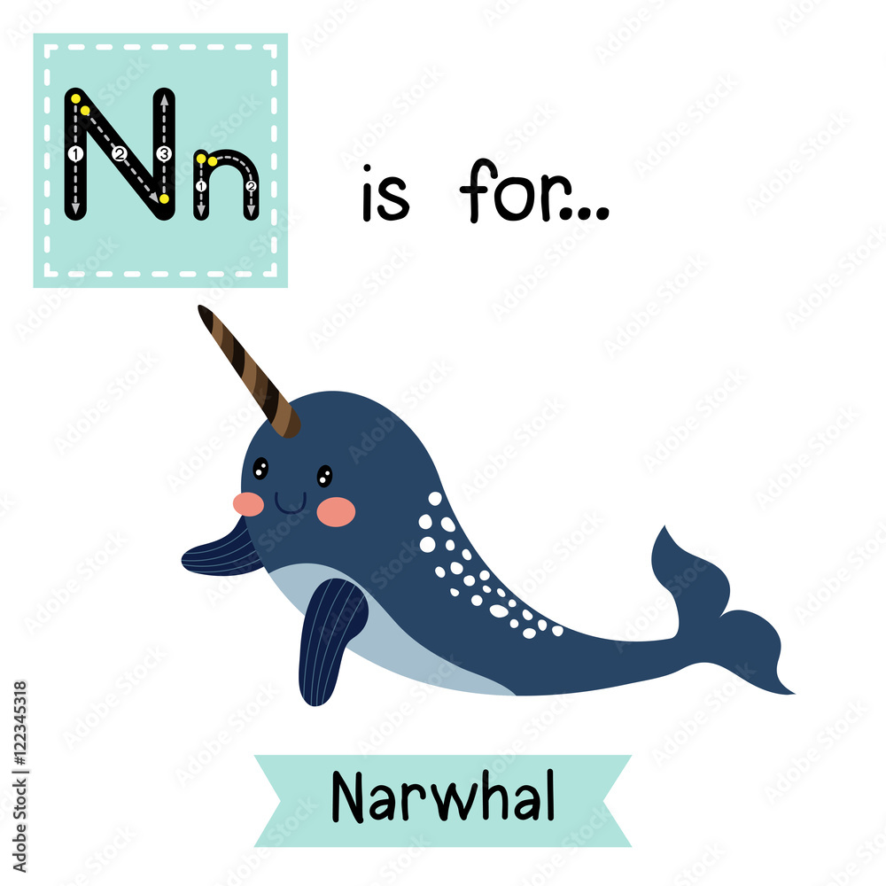 N letter tracing. Dark blue Narwhal. Cute children zoo alphabet flash ...