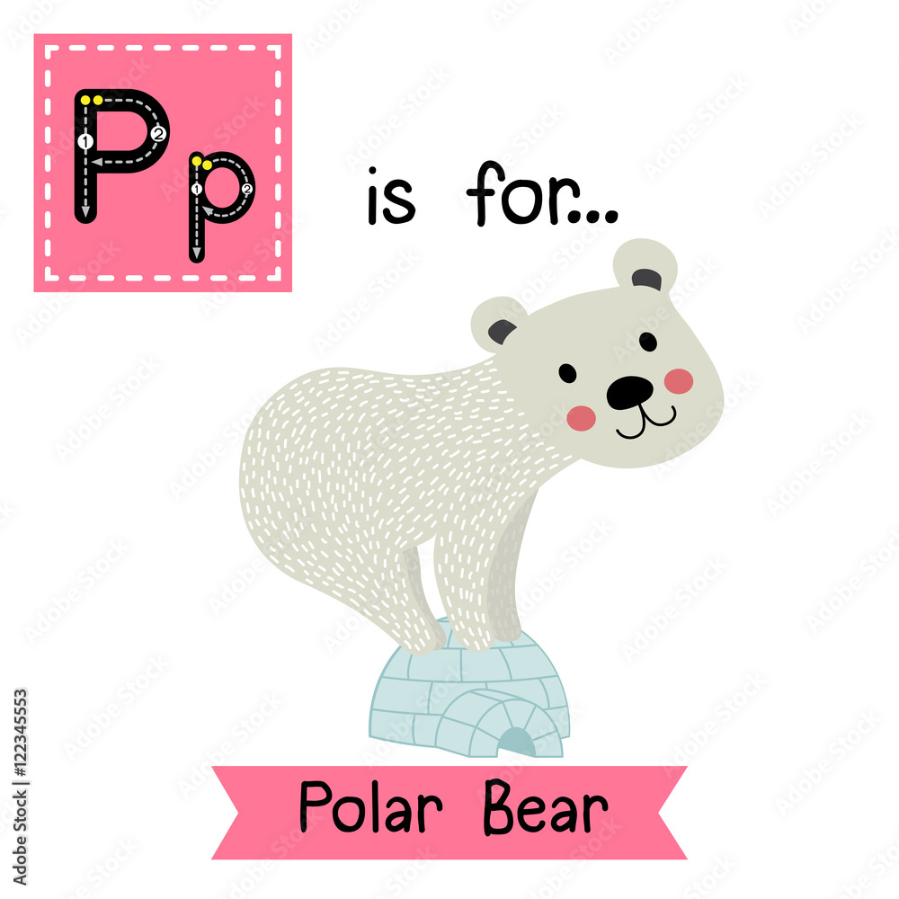 P letter tracing. Polar Bear standing on igloo. Cute children zoo ...