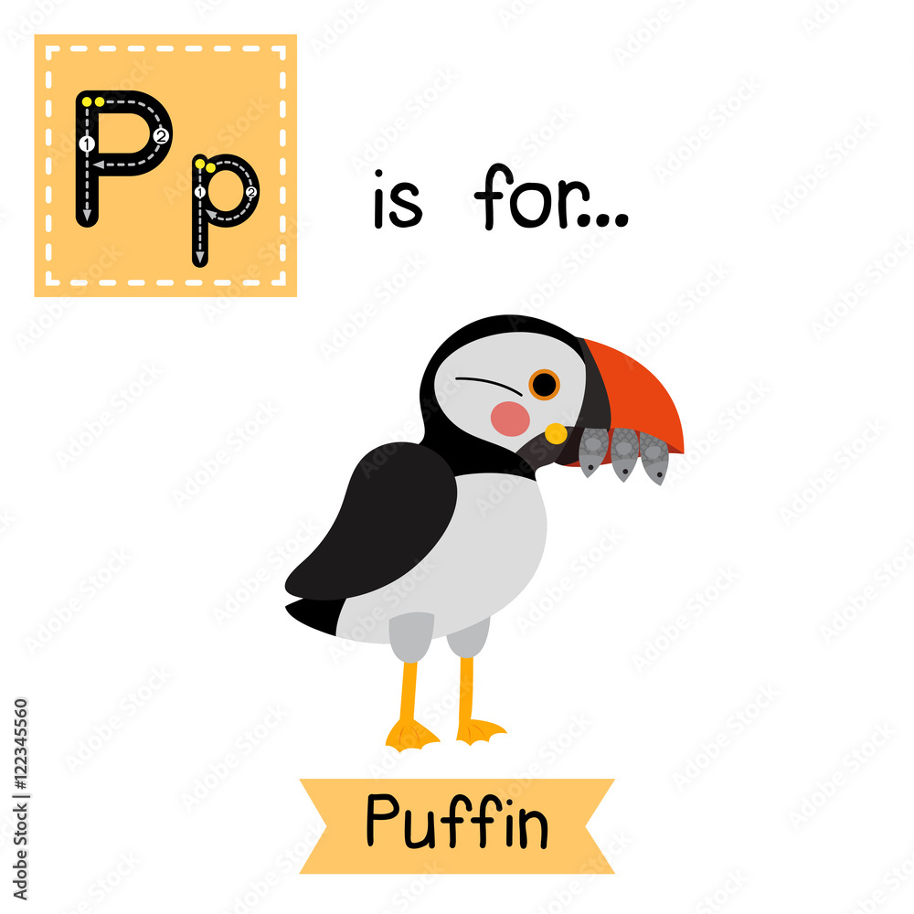 P letter tracing. Puffin bird. Cute children zoo alphabet flash card ...