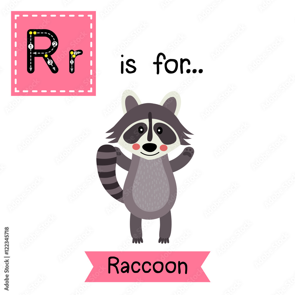 R letter tracing. Raccoon standing and raising two hands. Cute children ...