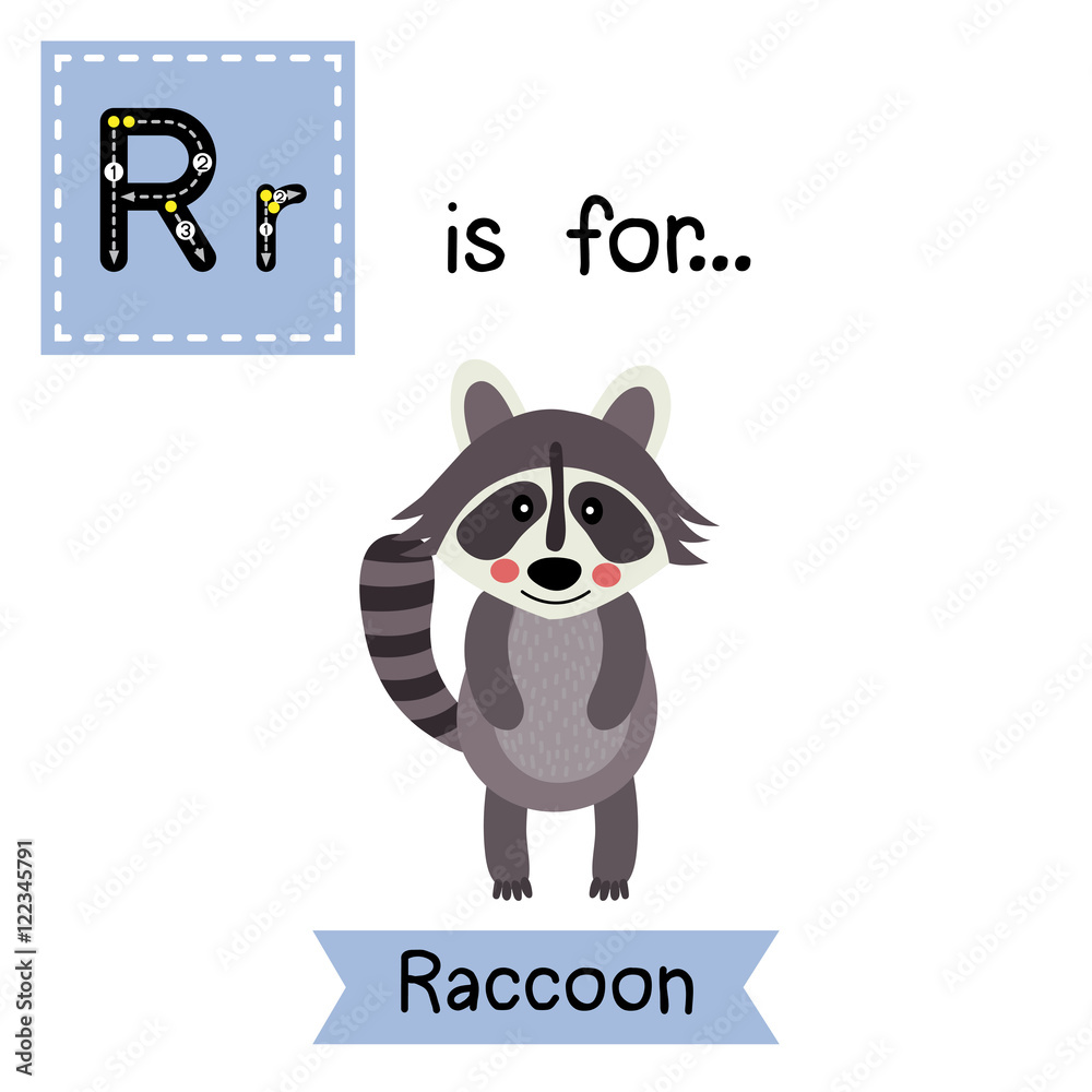 R letter tracing. Standing Raccoon. Cute children zoo alphabet flash ...