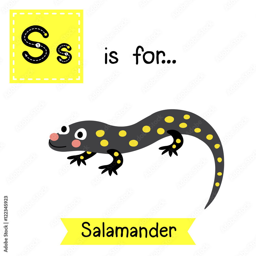 S letter tracing. Salamander. Cute children zoo alphabet flash card ...