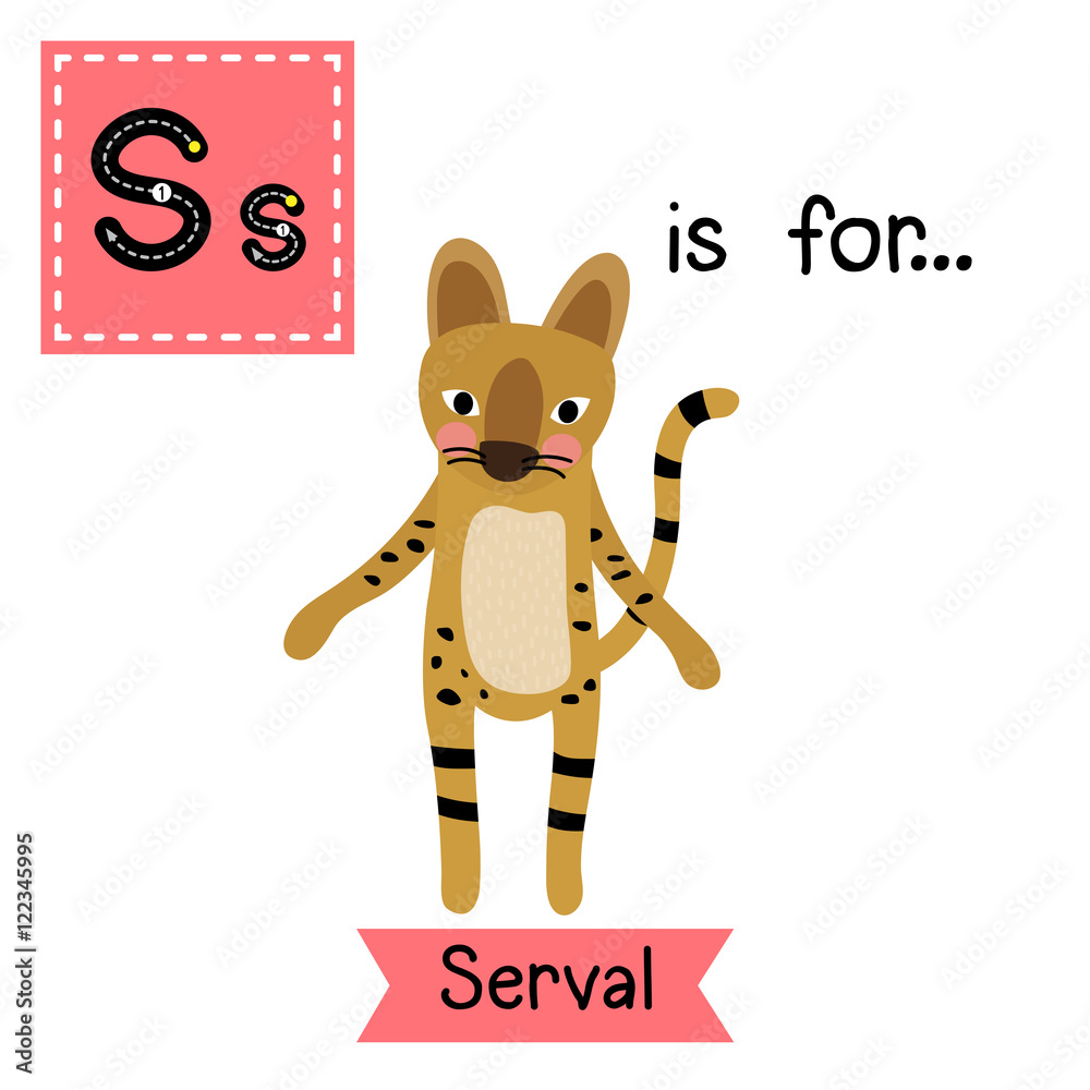 S letter tracing. Serval Cat. Cute children zoo alphabet flash card ...