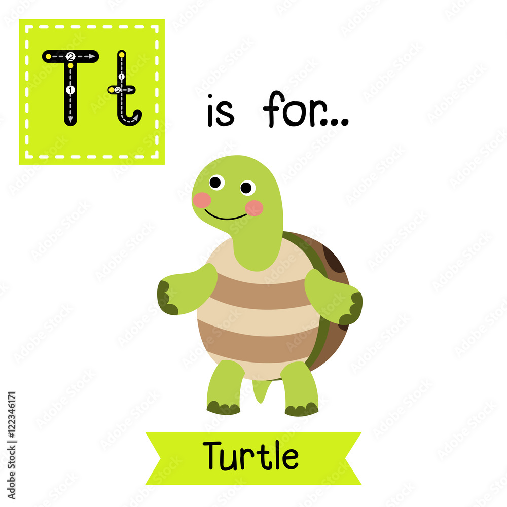 T letter tracing. Turtle standing on two legs. Cute children zoo ...