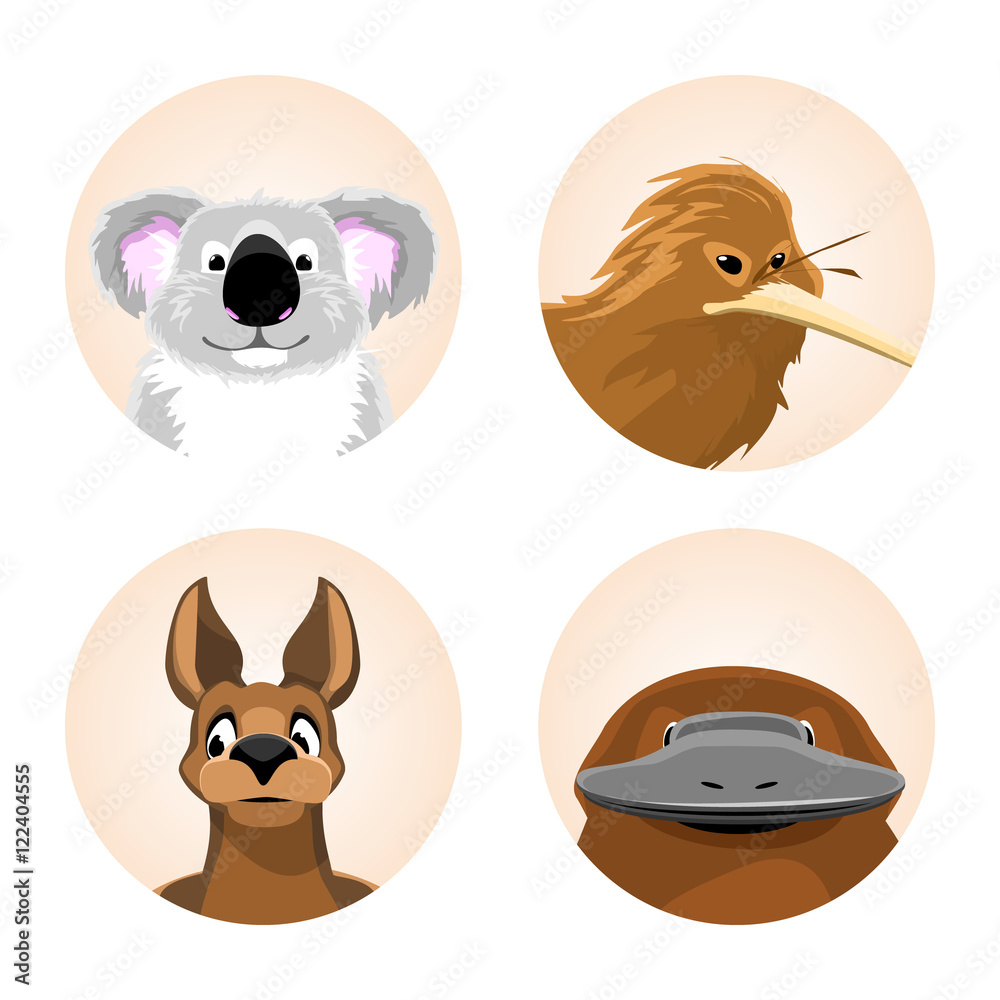set of avatars Australian animals. funny cartoon of koala, kiwi ...