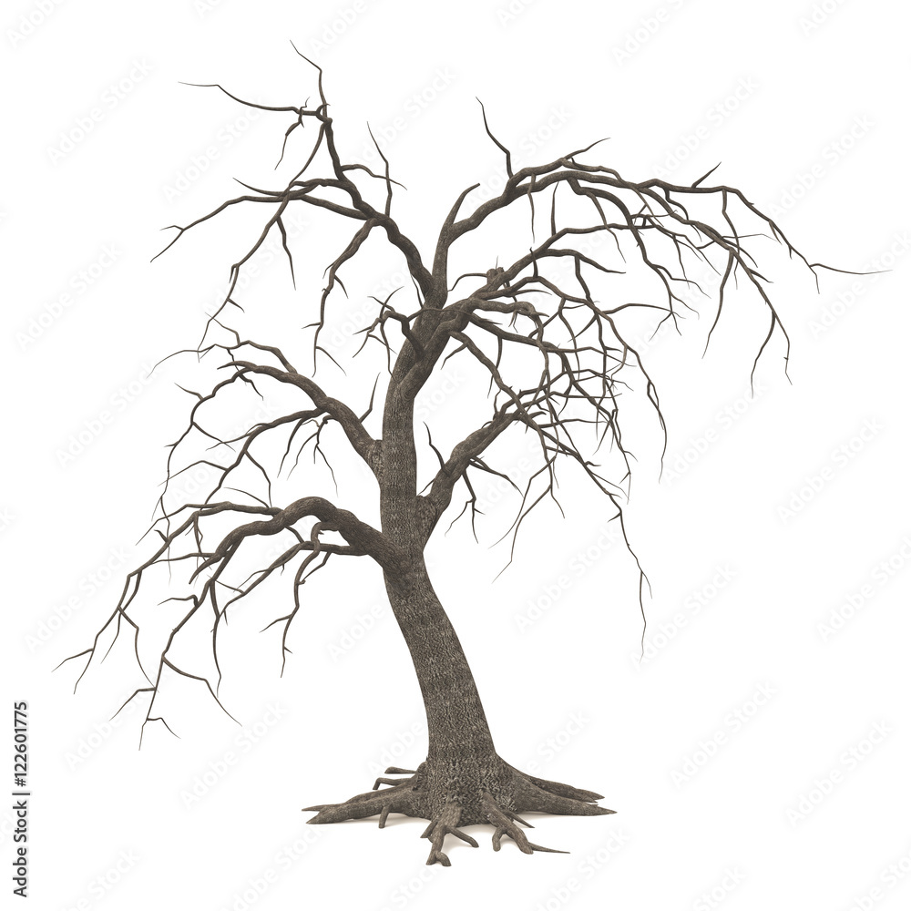 Spooky Halloween tree with long roots and bare branches isolated on ...
