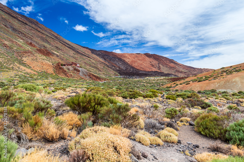 Teide National Park, Tenerife, Spanish Canary Islands showing the ...