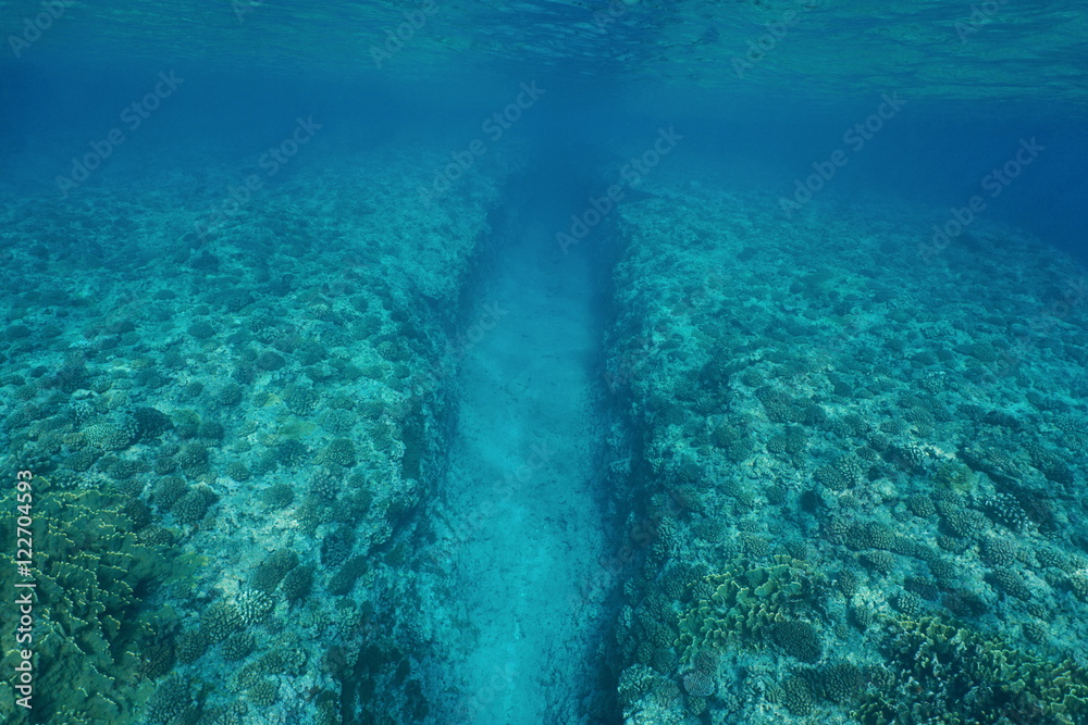 Stock-Foto „Natural trench underwater sea into the fore reef slope with ...