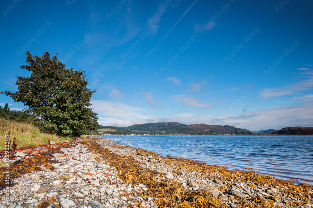 Foto stock di Shoreline on the Kyles of Bute, also known as Argyll's ...
