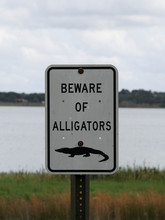 Beware Of Alligators Sign Free Stock Photo - Public Domain Pictures
