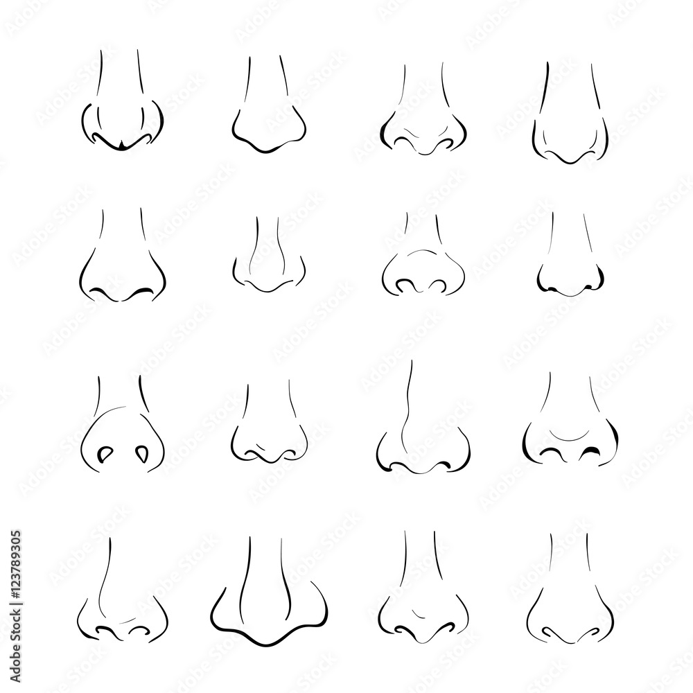 different types of nose Stock Vector | Adobe Stock