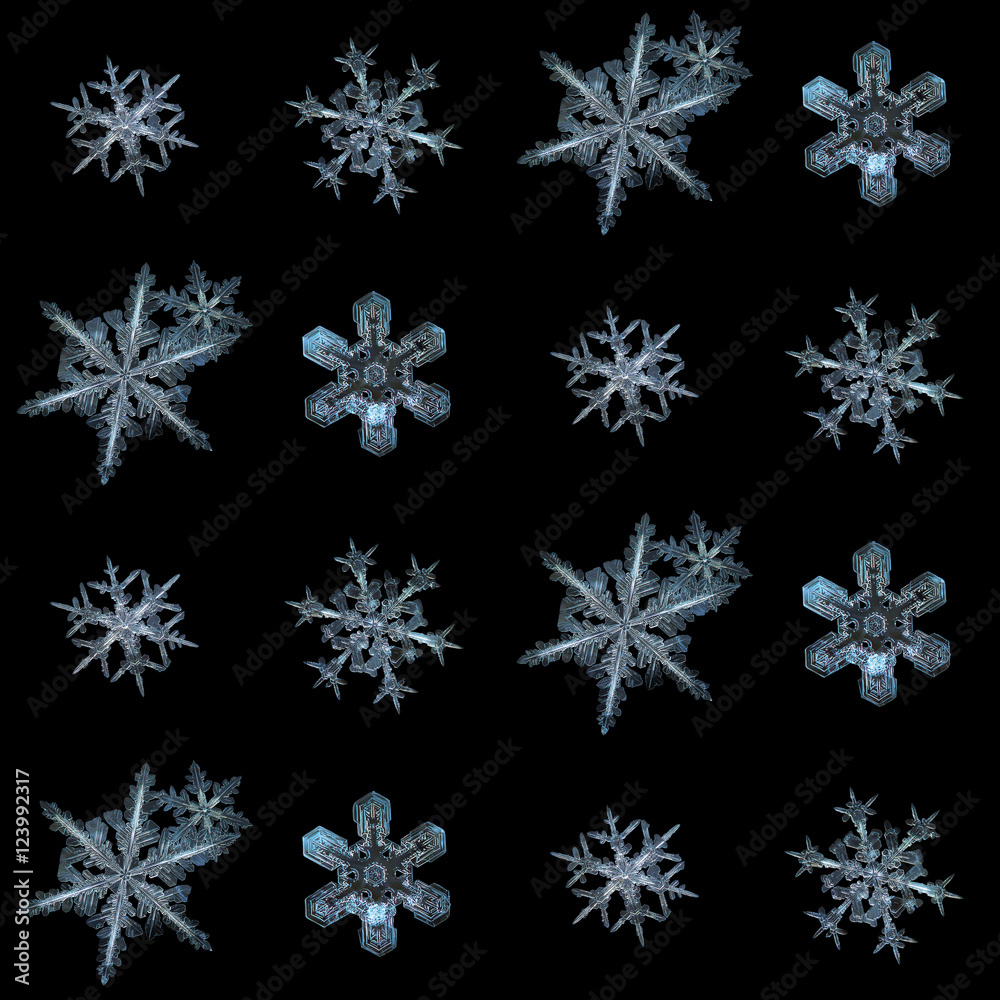 real snowflake patterns