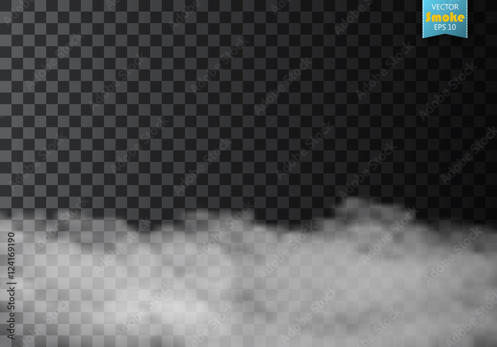 Fog or smoke isolated transparent special effect. White vector ...