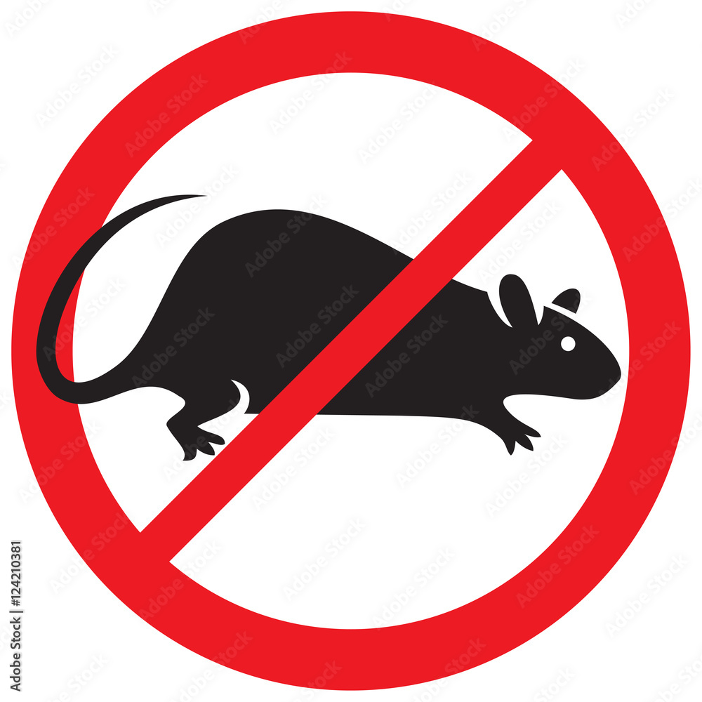 no rats symbol sign Stock Vector | Adobe Stock