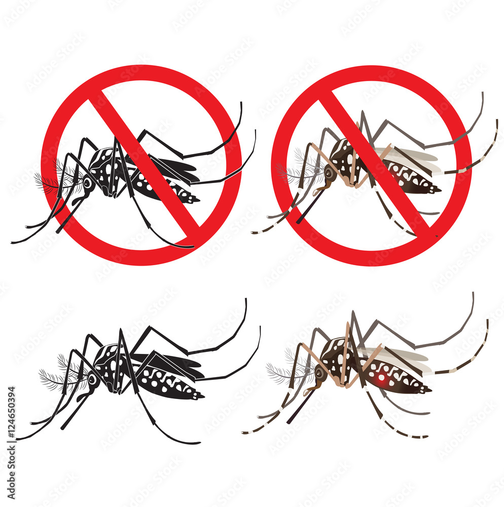 Isolated Mosquito Editable Under The Red Circle. Zika Virus. Outbreak ...