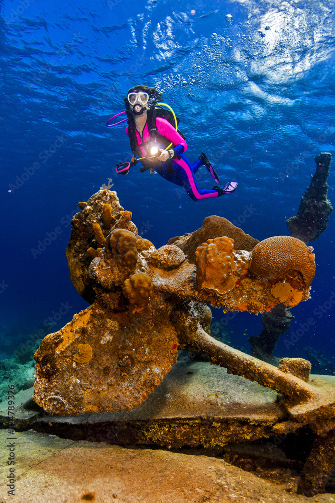 A vertical image of a female SCUBA Diver with a dive light discovering ...