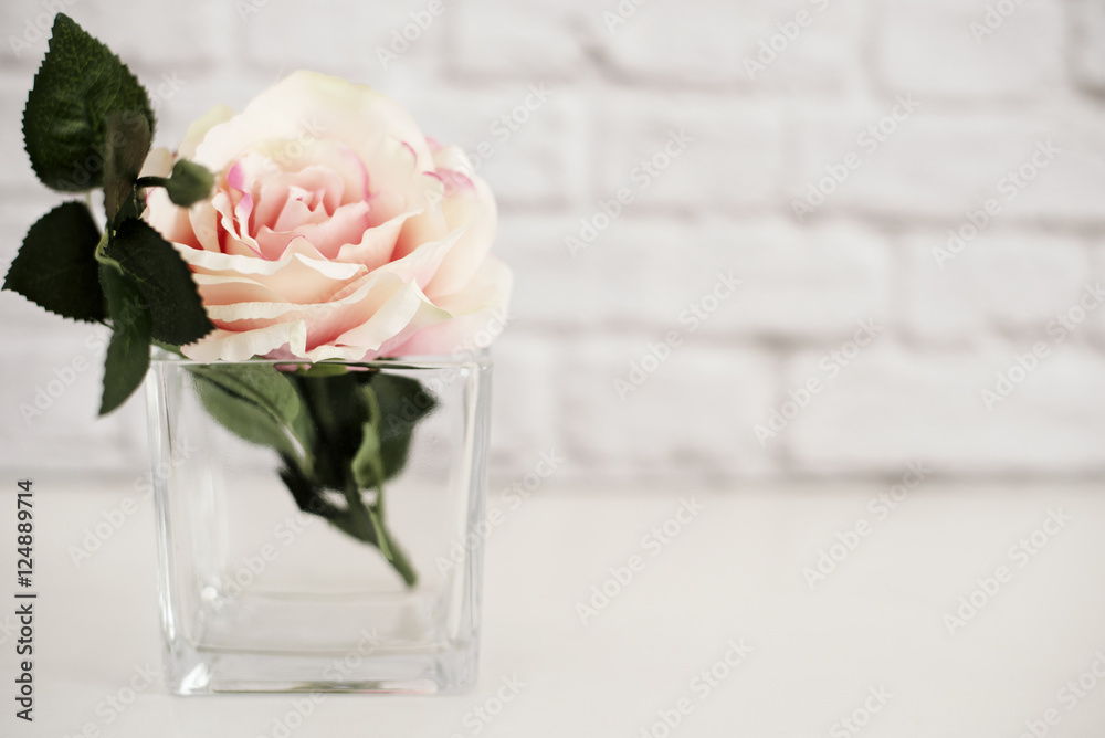 Stock-Foto „Pink Rose Mock Up. Styled Stock Photography. Floral Styled ...