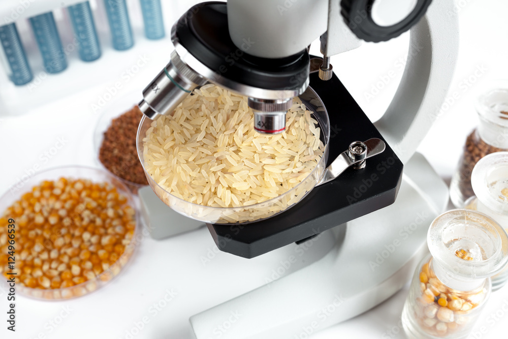 Photo Stock Laboratory for food analysis cereals test no one | Adobe Stock