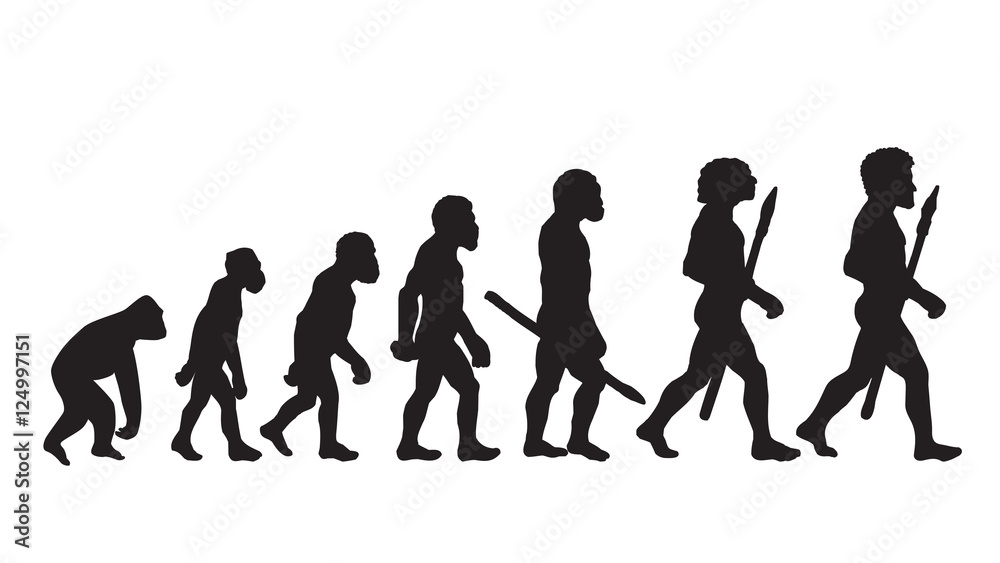 Human Evolution. Human Evolution Chart. Human Evolution Definition ...