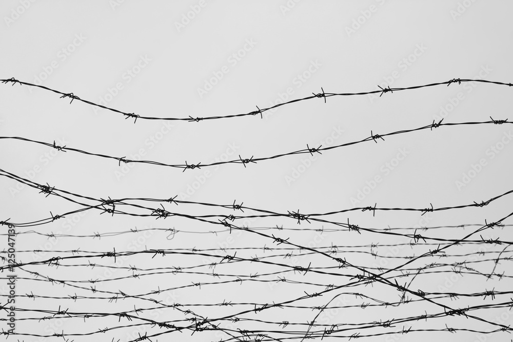 Fencing. Fence with barbed wire. Let. Jail. Thorns. Block. A prisoner ...