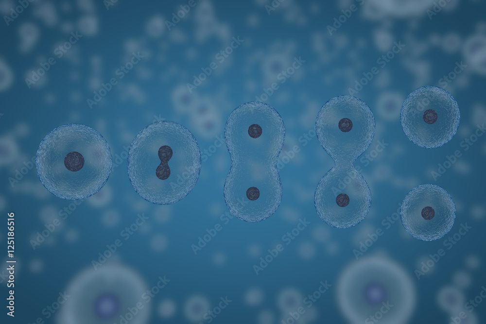 Cells dividing by osmosis, cells multiplication Stock Illustration ...