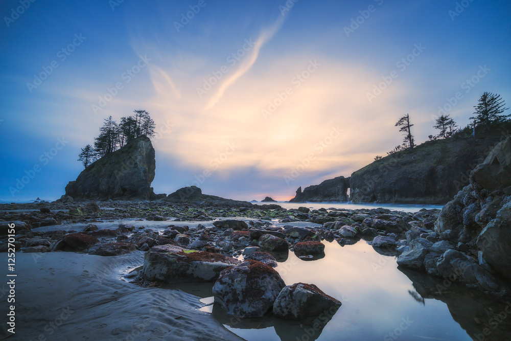 sea stack in sunset time with blue and purple light,Olympic national ...