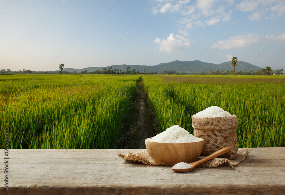 Asian white rice or uncooked white rice with the rice field back Stock ...