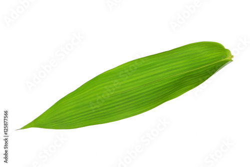 Single Isolated Bamboo leaf texture - Buy this stock photo and explore ...