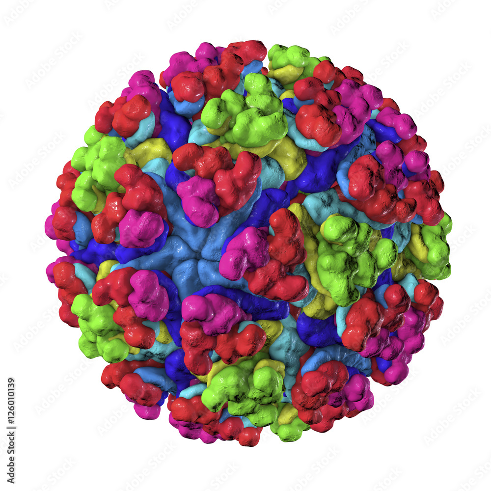 Mayaro virus 3D illustration. Mosquitoborne virus from Alphavirus genus ...