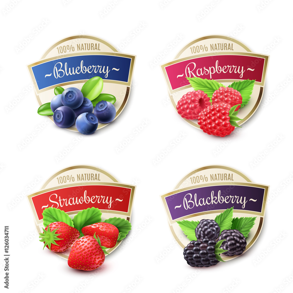 Berry Labels Set Stock Vector | Adobe Stock