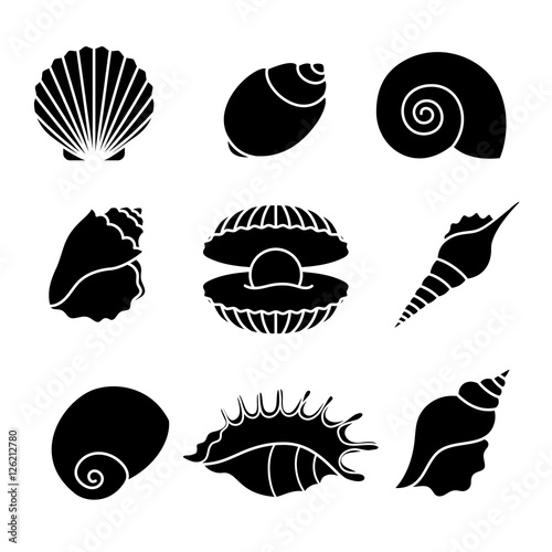 Vector sea shells and pearl seashell silhouettes isolated on white ...