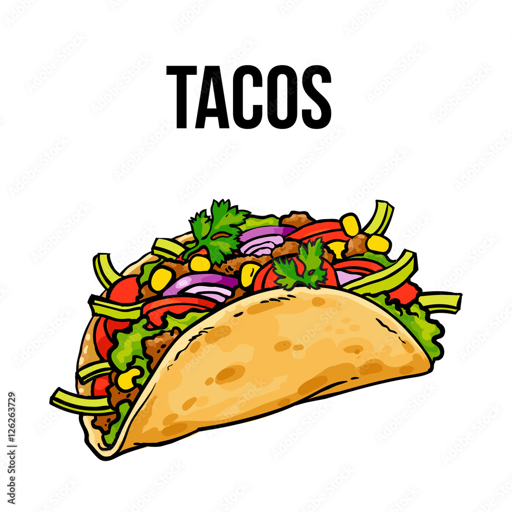 taco illustration vector