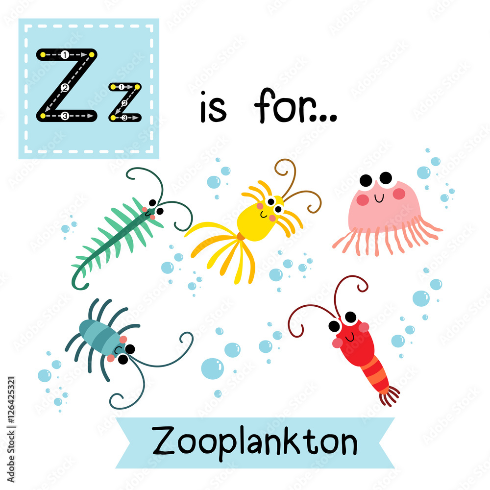 Z letter tracing. Zooplankton. Cute children zoo alphabet flash card ...