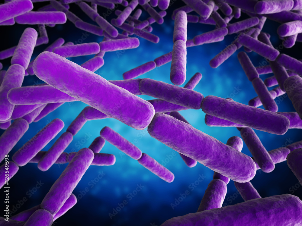 stick shape bacteria cells Stock Illustration | Adobe Stock
