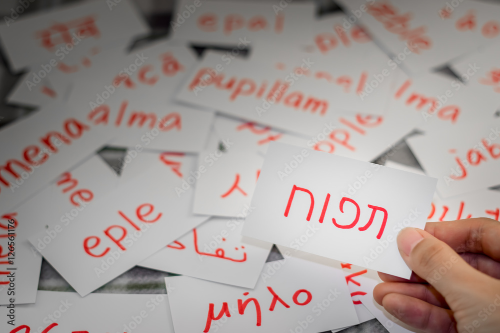 Hebrew; Learning New Language with Handwritten Flash Cards. Tran Stock ...