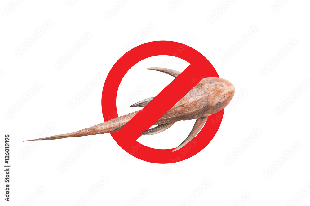 No More icon sucker fish,Sign and dead of sucker fish ,Pleco Catfish ...