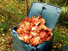 Leaves On Compost Heap Free Stock Photo - Public Domain Pictures