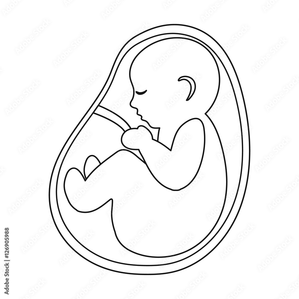 Fetus icon in outline style isolated on white background. Pregnancy ...